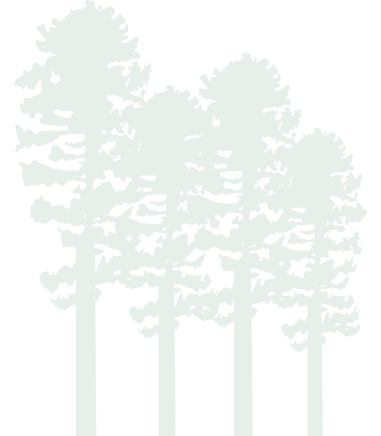 Longleaf-Watermark-Trees | Longleaf Hospital